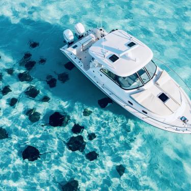 Boats>36-Pursuit-Specs